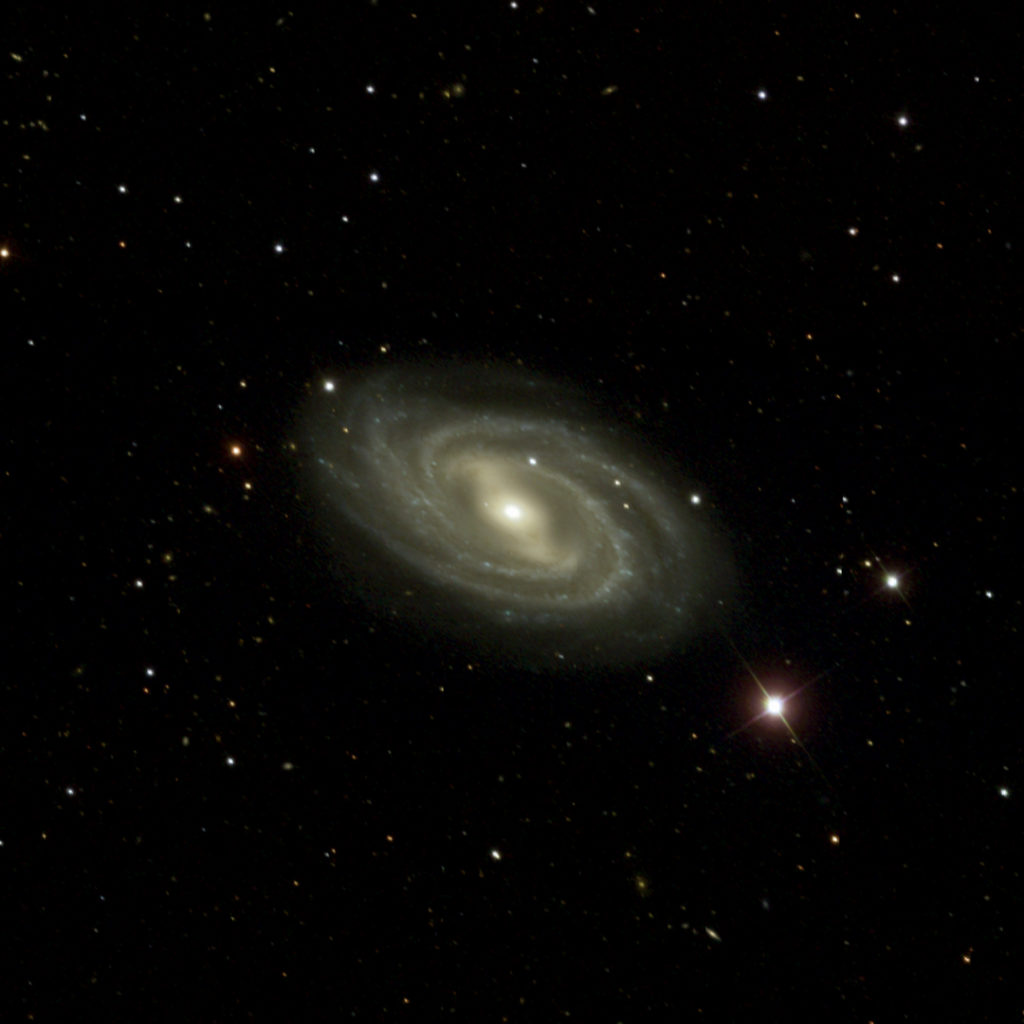 Best Harmonic Drive Mounts for Astrophotography!? – Wido's AstroForum